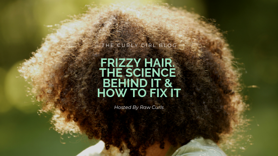 Frizzy Hair. The Science Behind It & How To Fix It – Raw Hair Organics